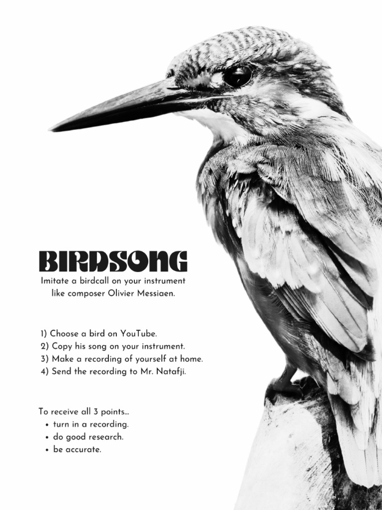 Birdsong Assignment | PDF