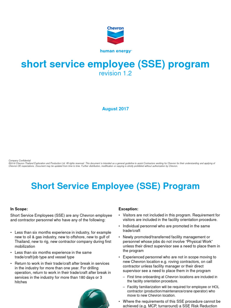 Summary of Sse Program | PDF | Employment | Business