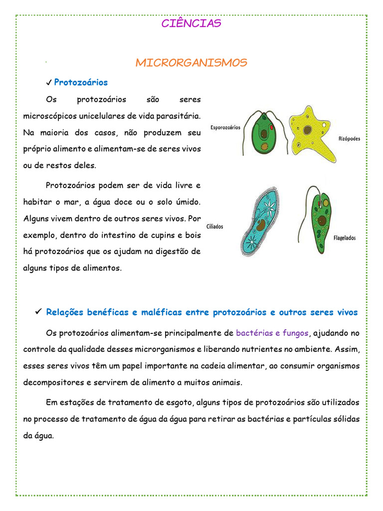 Tipos e Importância dos Protozoários | PDF | Ciências e Matemática