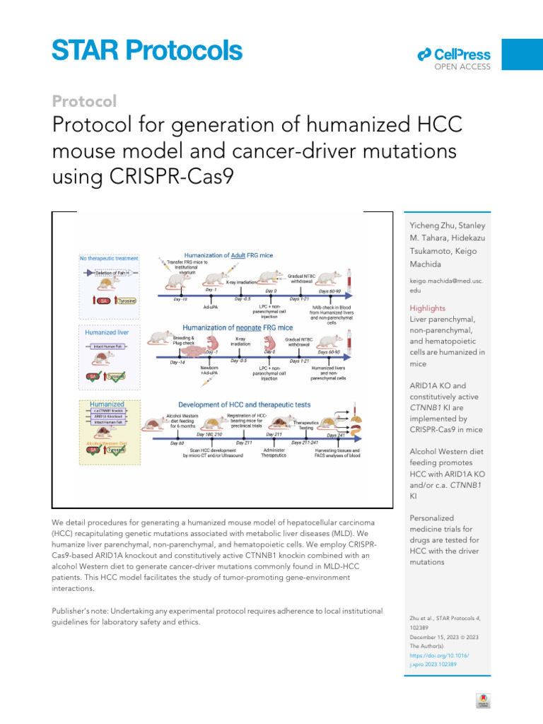 Humanized HCC Mouse Model Protocol | PDF | Hematopoietic Stem Cell | Liver