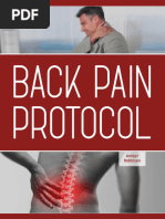 Williams Flexion Exercises for Back Pain | PDF | Low Back Pain | Back Pain