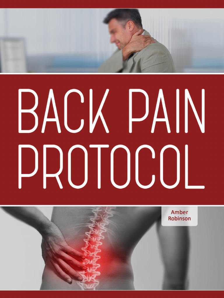 Back Pain Protocol | PDF | Pelvis | Anatomical Terms Of Motion