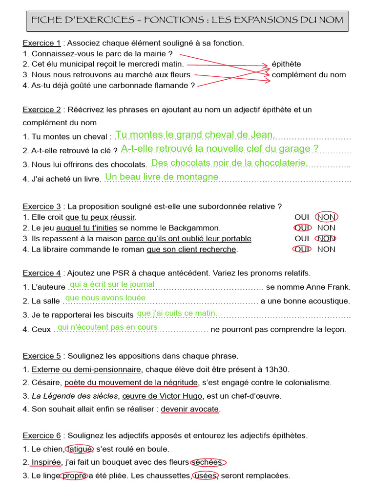 Exercices sur les expansions du nom | PDF | Syntaxe | Linguistique