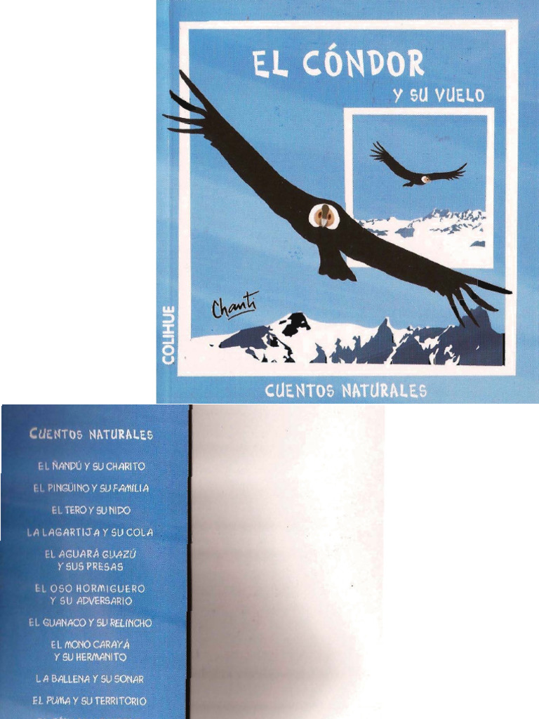 El cóndor | PDF