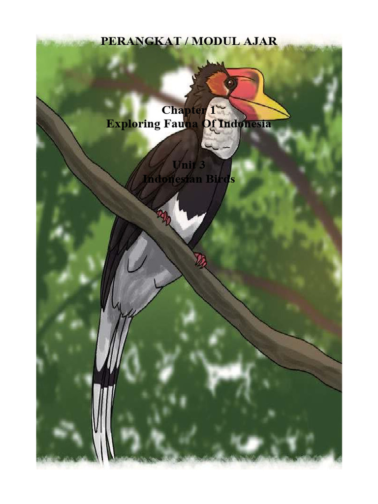 Modul Ajar Chapter 1 Unit 3 Pembelajaran 5 & 6 | PDF