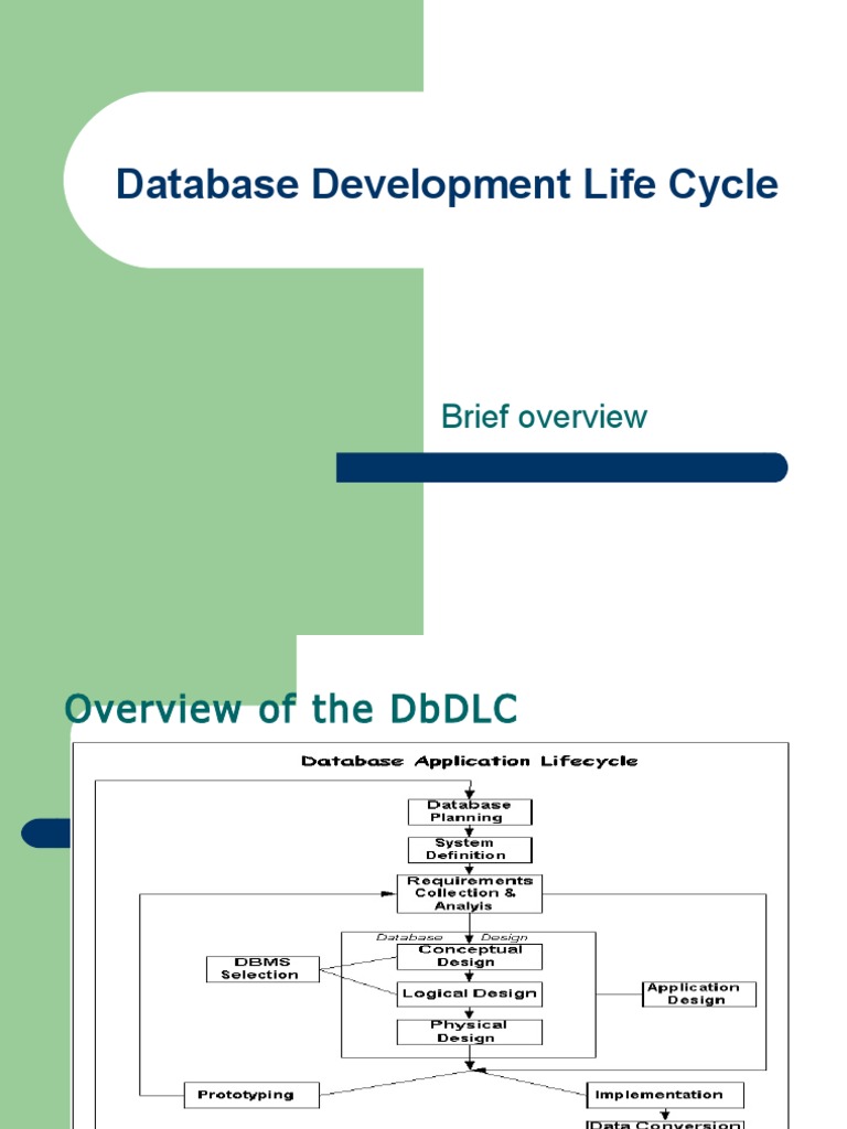 Database Development Life Cycle | PDF | Database Design | Product Lifecycle