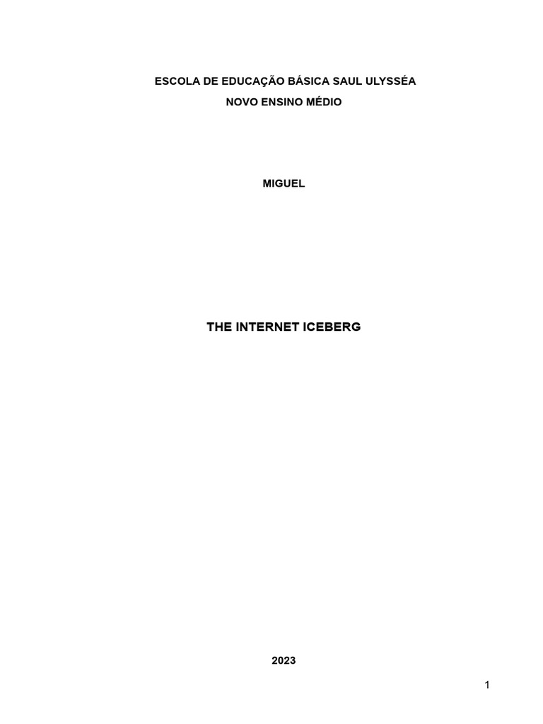 Iceberg Pdf Internet Privacy