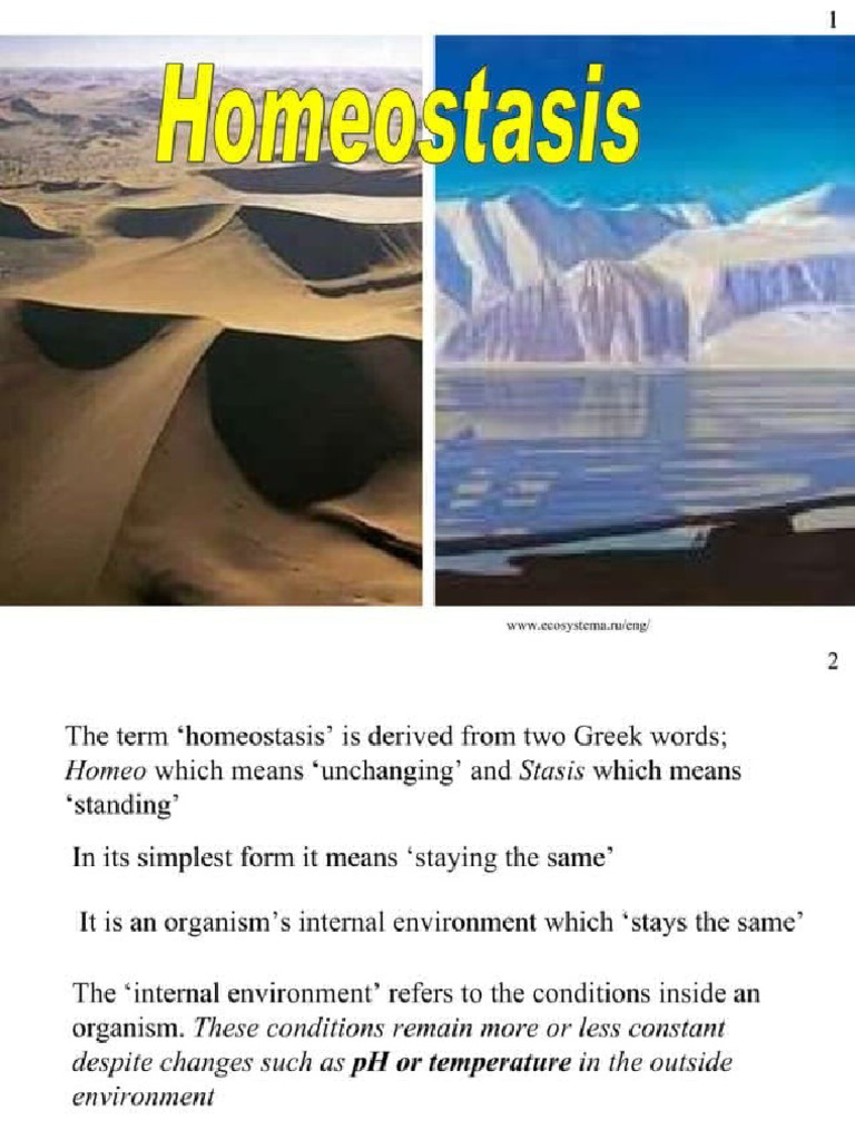 Homeostasis (1)- A level | PDF