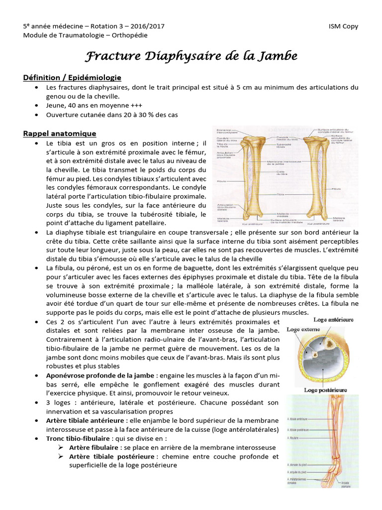 Fractures diaphysaires du tibia | PDF | Jambe humaine | Appareil locomoteur