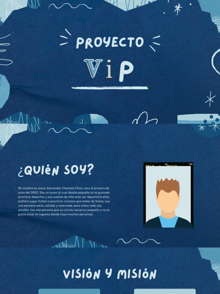Proyecto VIP, Josue Chamalé | PDF | Crecimiento personal y profesional | Negocios