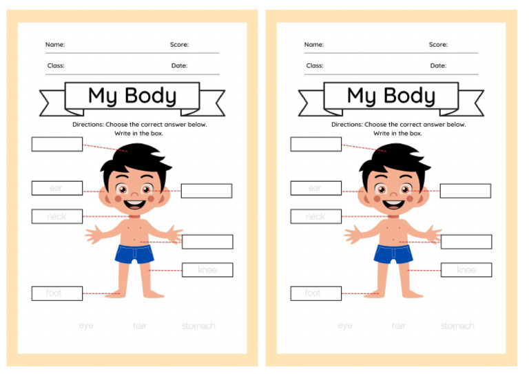 My Body | PDF