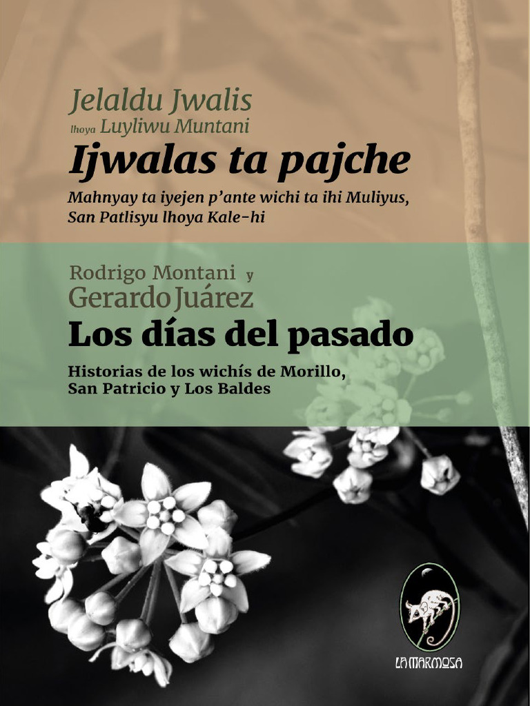 Los Días Del Pasado-Historias de Los Wichís de Morillo-San Patricio y ...