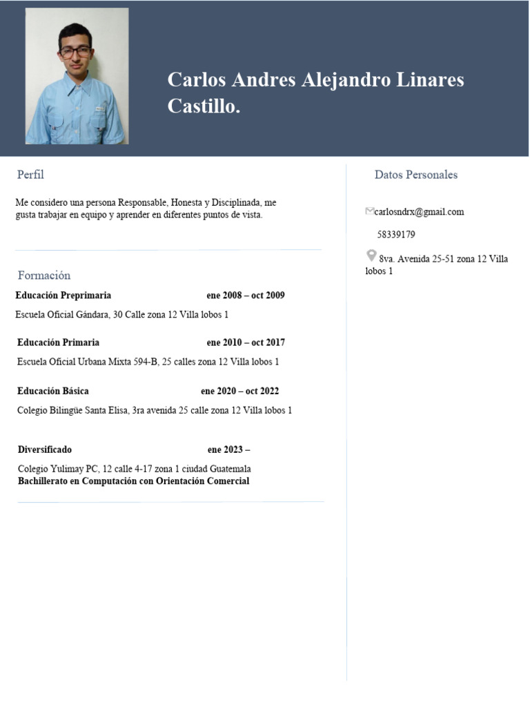 CV Carlos Andres Alejandro Linares Castillo | PDF