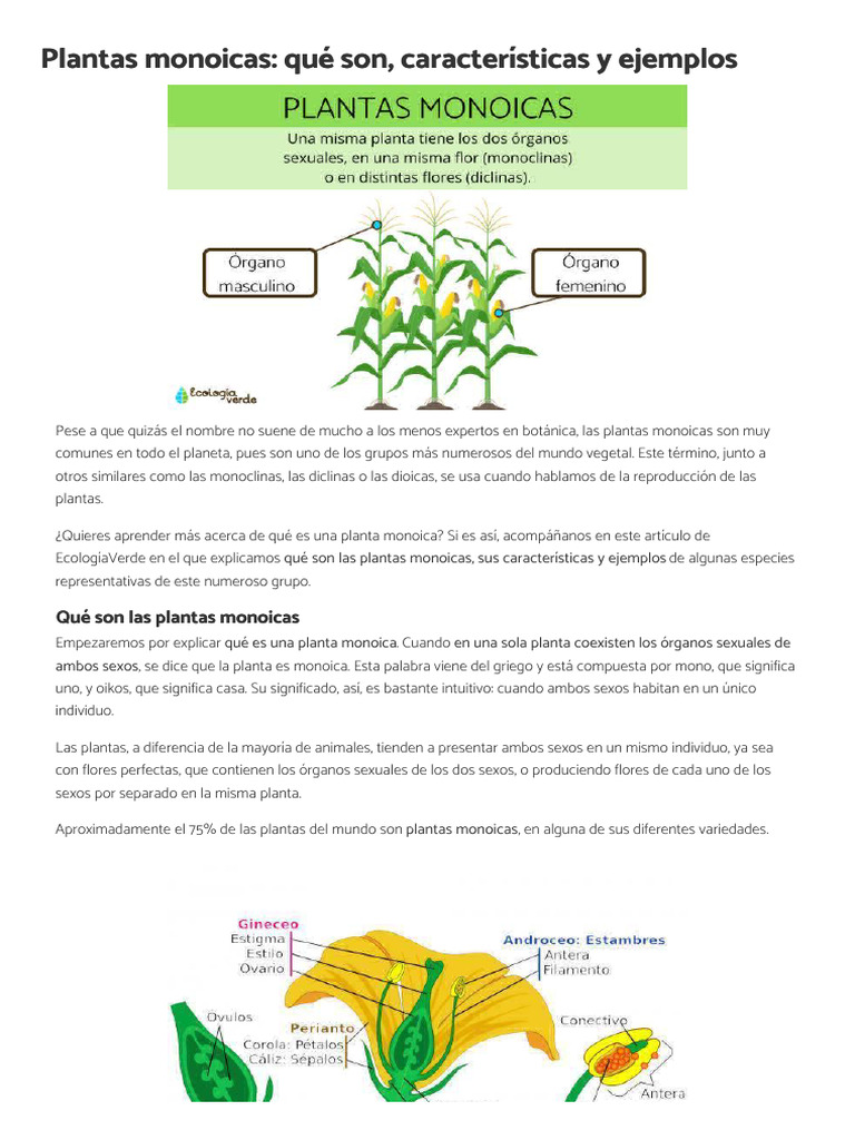 Plantas Monoicas | PDF | Sexo | Coco