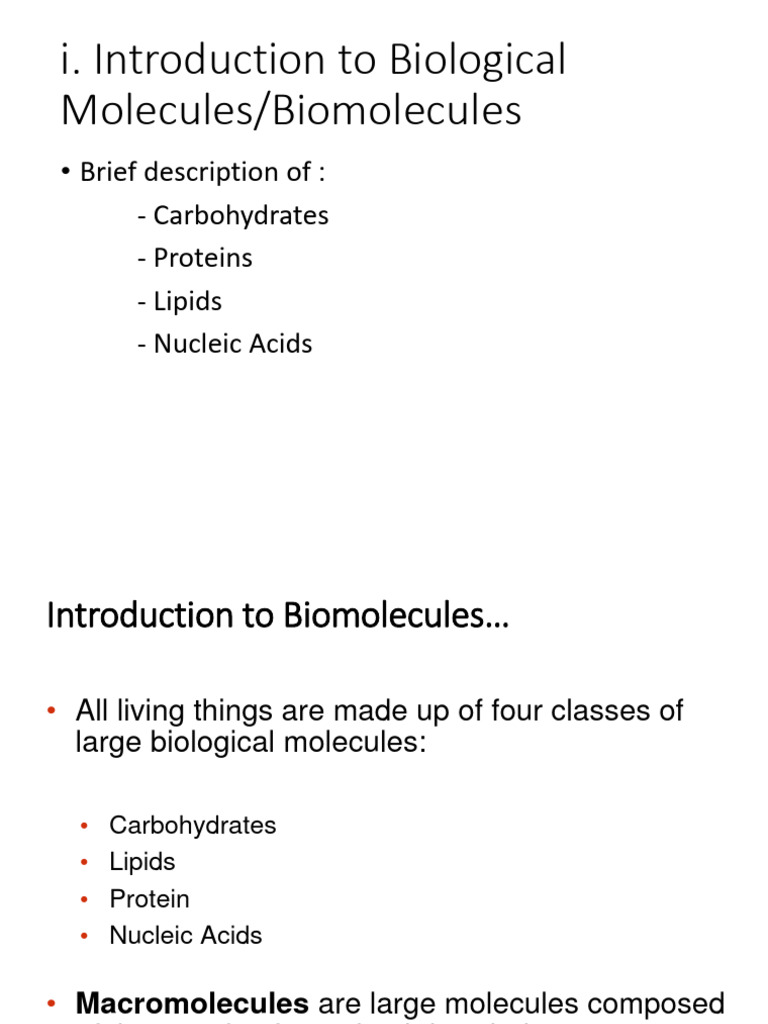 Topic I BIOL 110 Introduction To Biomolecules | PDF | Carbohydrates ...