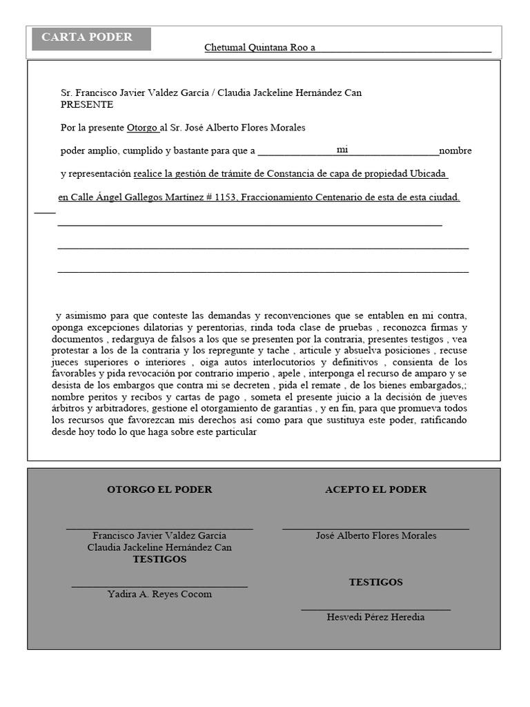 Carta Poder | PDF | Derecho