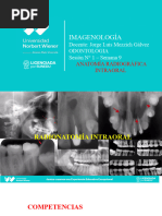 Código FDI: Guía para Odontólogos | PDF | Diente | Ramas de Odontología