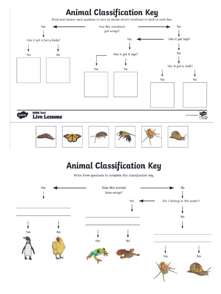 Animal Classification Worksheet | PDF