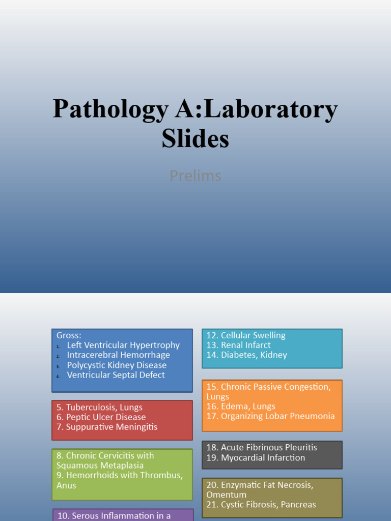 Pathology A LAB Slides Review Prelims-1 | PDF | Myocardial Infarction ...