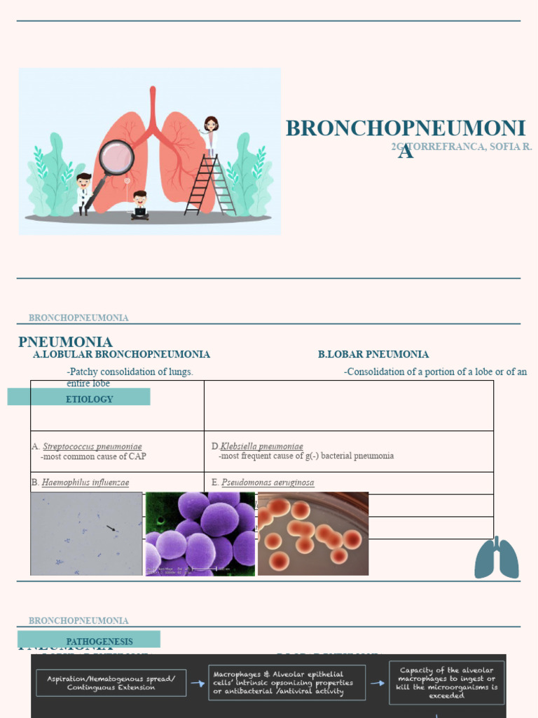 Broncho Pneumonia | PDF