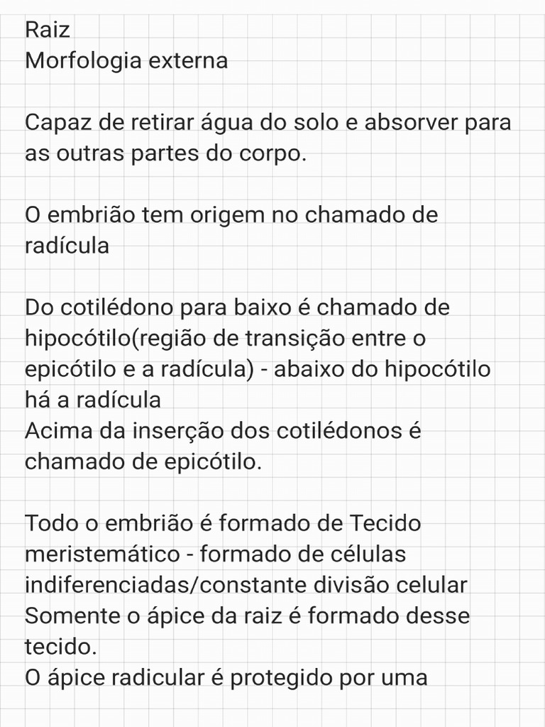 Morfologia Vegetal - Raiz e Caule | PDF