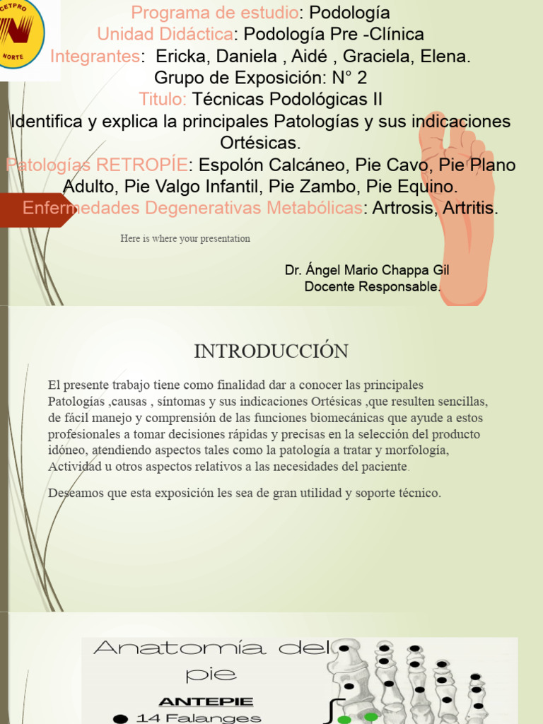 Exposicion Tecnicas Podologicas | PDF | Pie | Sistema musculoesquelético