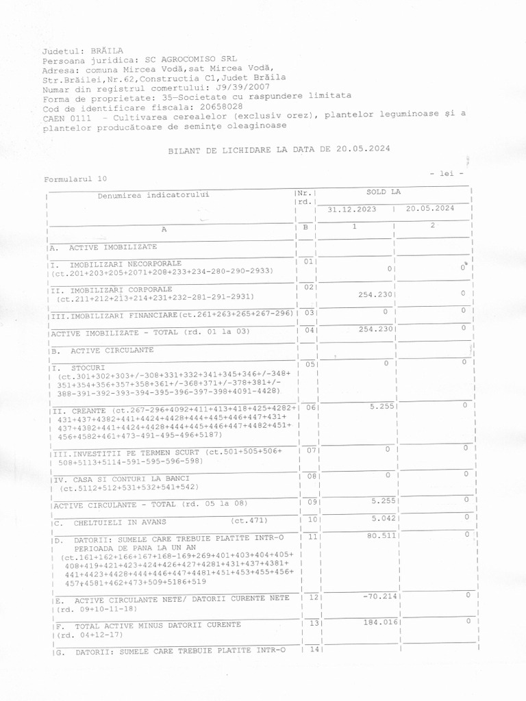 Bilant lichidare_20.05.2024 (1) | PDF
