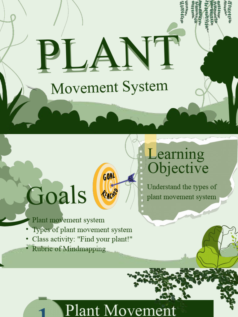 4 - Plant Movement System | PDF | Plants | Botany