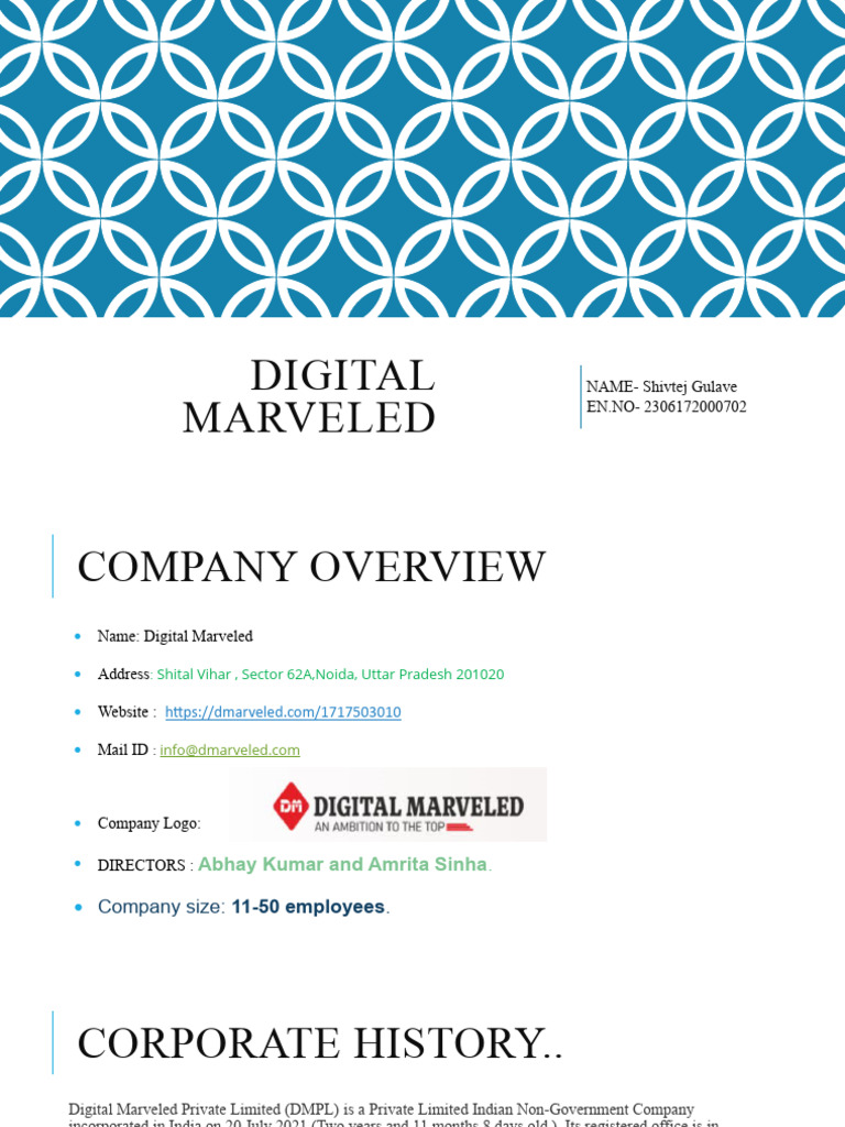 Digital Marveled Company Overview | PDF | Digital Marketing | Marketing