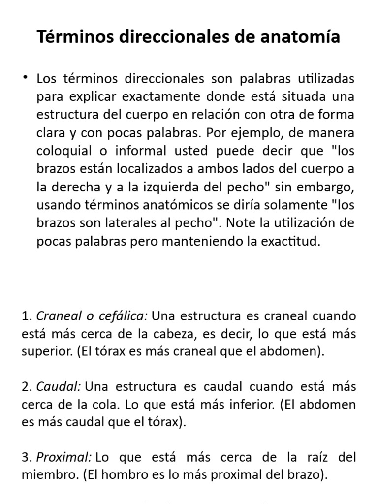 4 Términos Direccionales de Anatomía | PDF