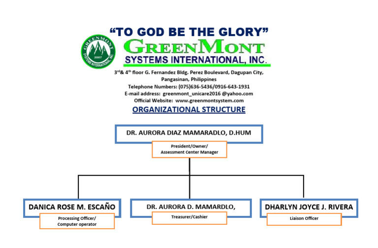 ORGANIZATIONAL STRUCTURE | PDF