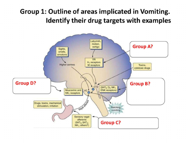 Vomiting Centre | PDF