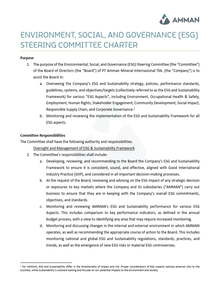 ESG Steering Committee Charter AMMAN | PDF | Governance | Sustainability