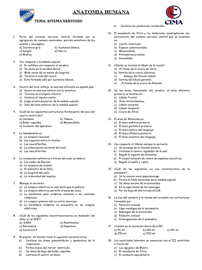 Balotario de Anatomia SNC 2 | PDF | Sistema nervioso central | Cerebro