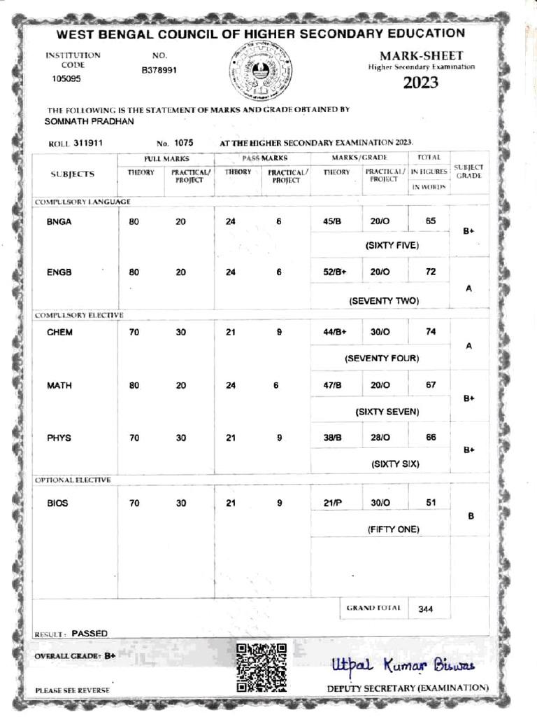 H.S MARK SHEET | PDF | Educational Stages | Secondary Education