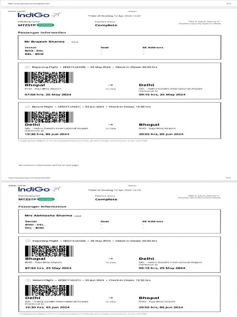 Flight Ticket Pdf