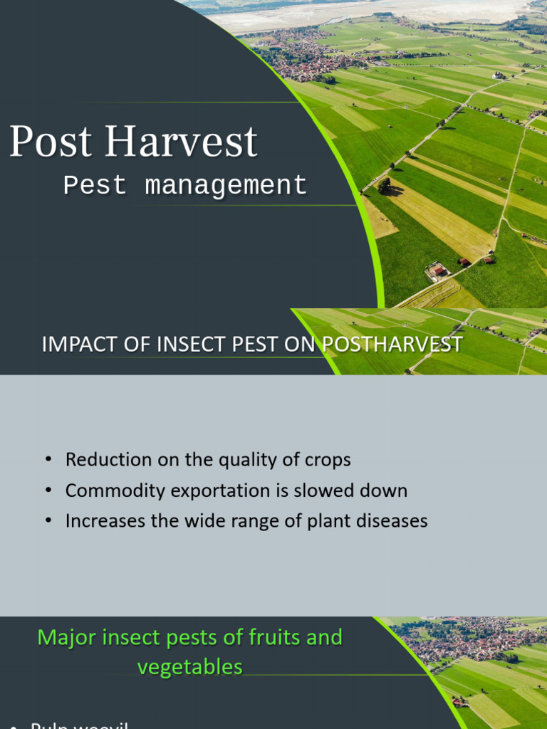Postharvest Pest Management 1 | PDF | Pest (Organism) | Pest Control