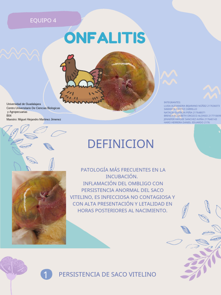 Onfalitis | PDF | Especialidades Medicas | Enfermedades y trastornos