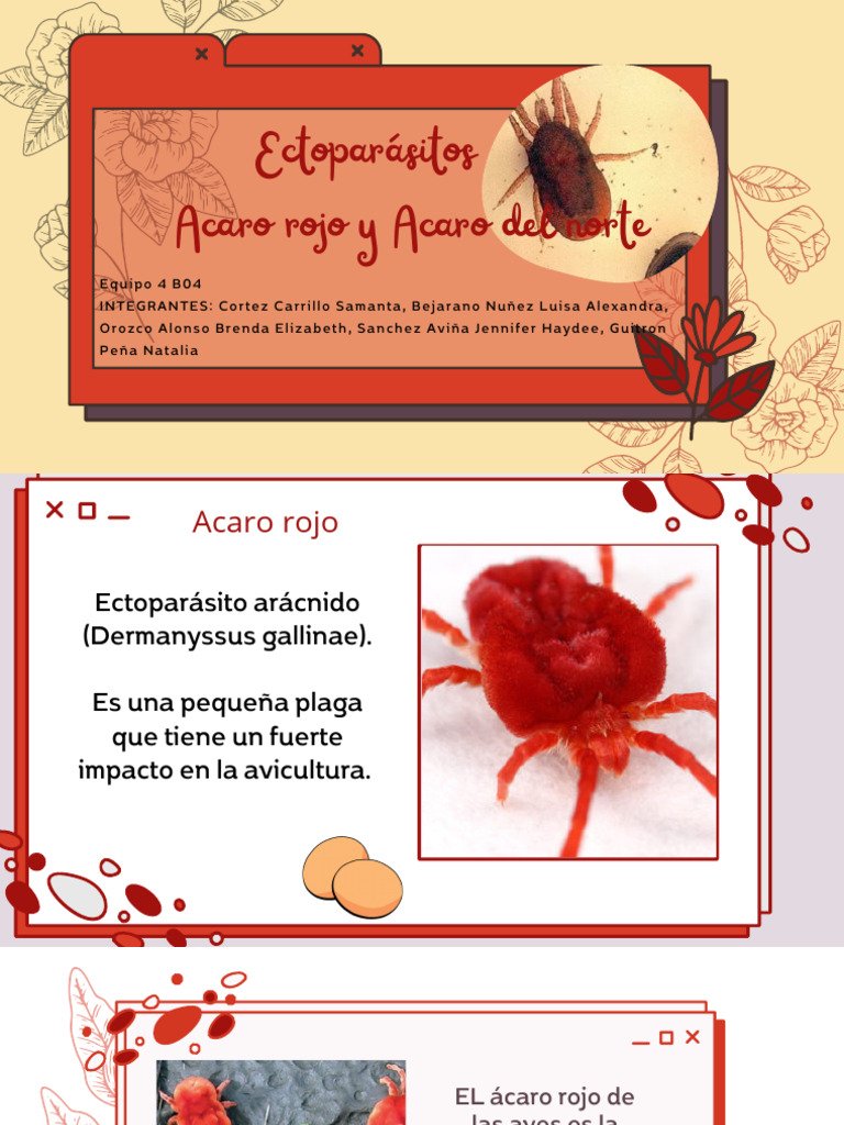 Acaro Rojo y Acaro Del Norte. | PDF | Aves