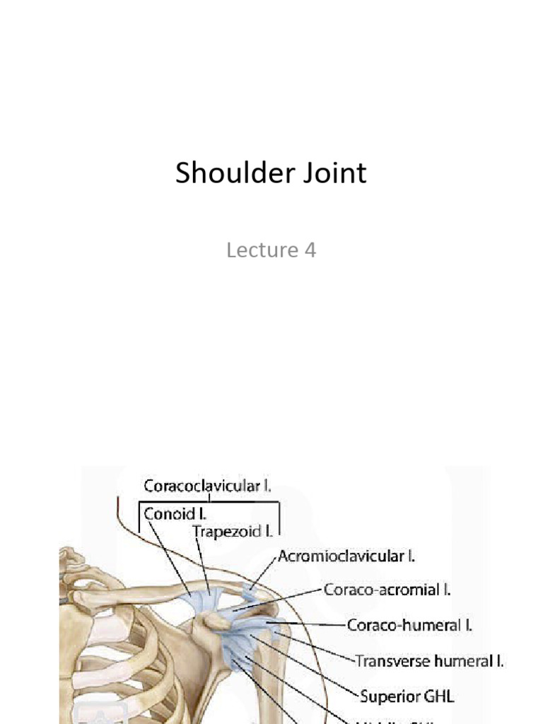 5 Shoulder Joint | PDF | Wellness