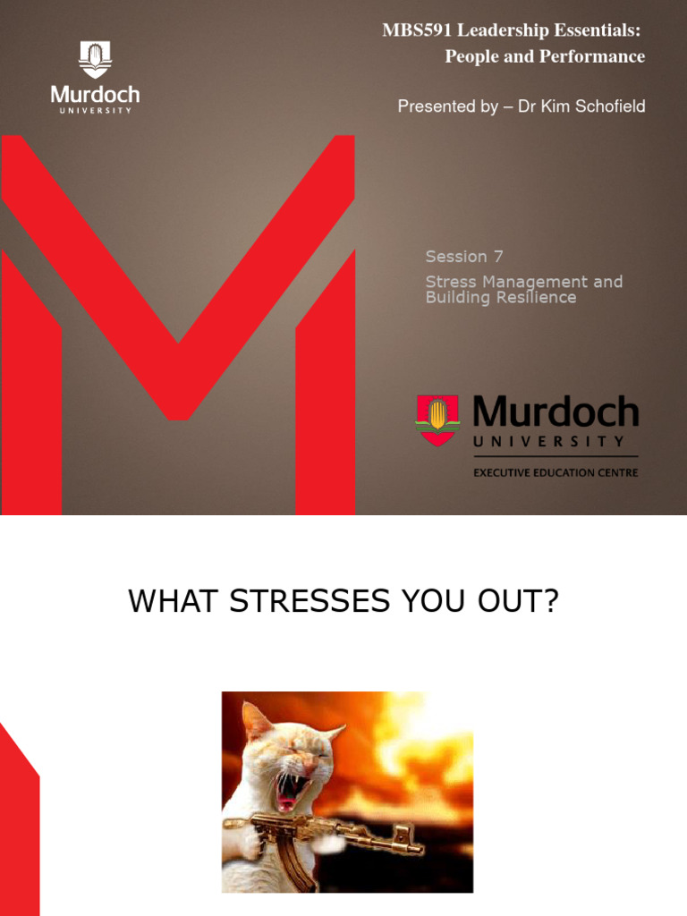 MBS591 Session 7 - Stress Management and Building Resilence | PDF ...