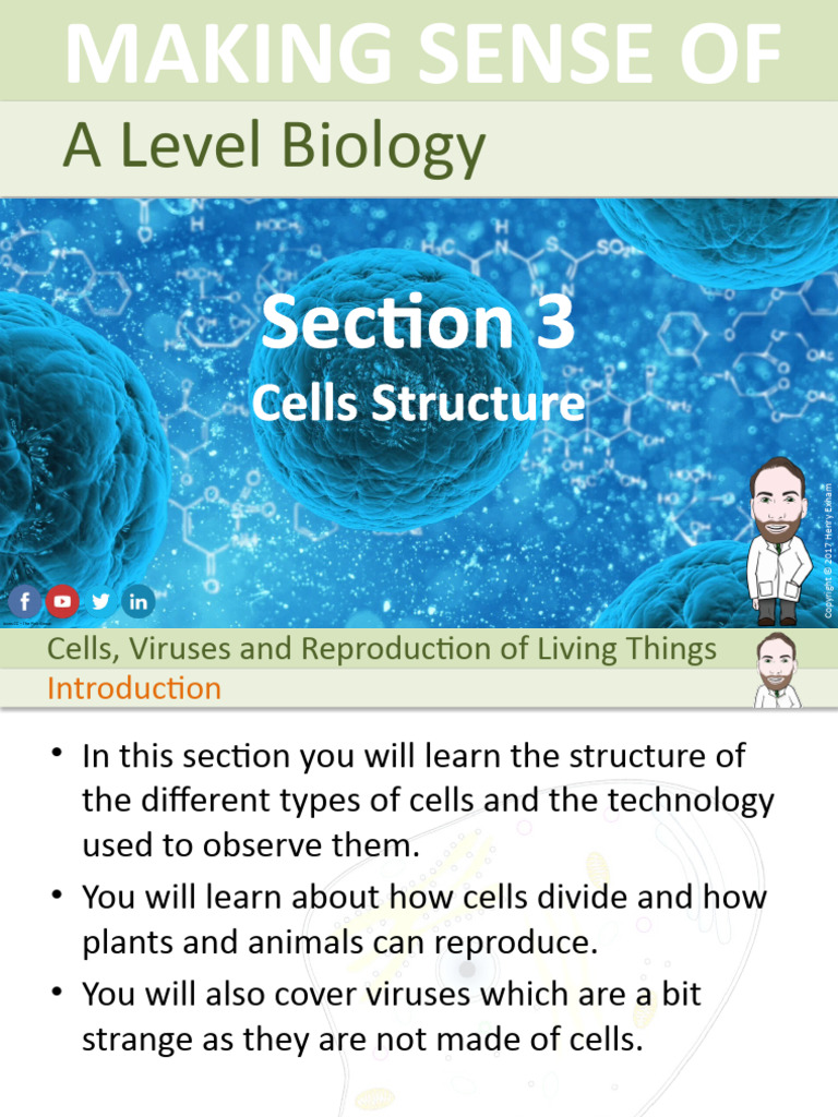 ALevel Biology Cells | PDF | Endoplasmic Reticulum | Cell (Biology)