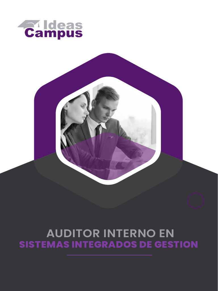 Brochure Auditor Interno en Sistemas | PDF | Auditoría | Contralor