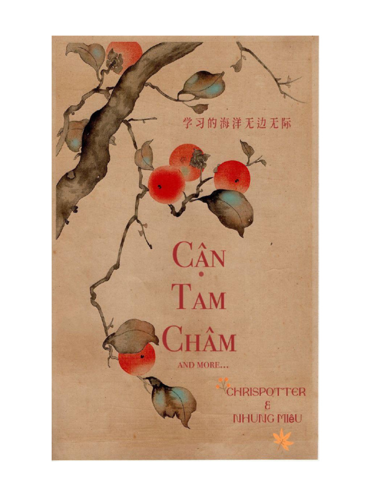 CẬN TAM CHÂM AND MORE | PDF