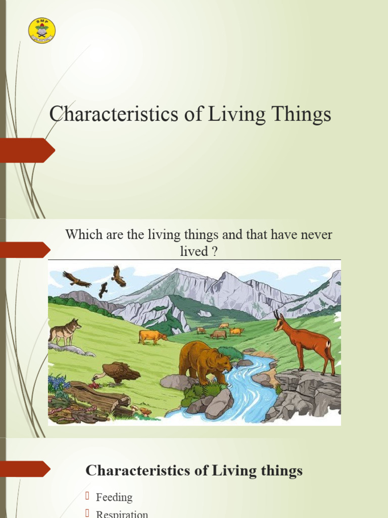 Basics of Living Organisms | PDF