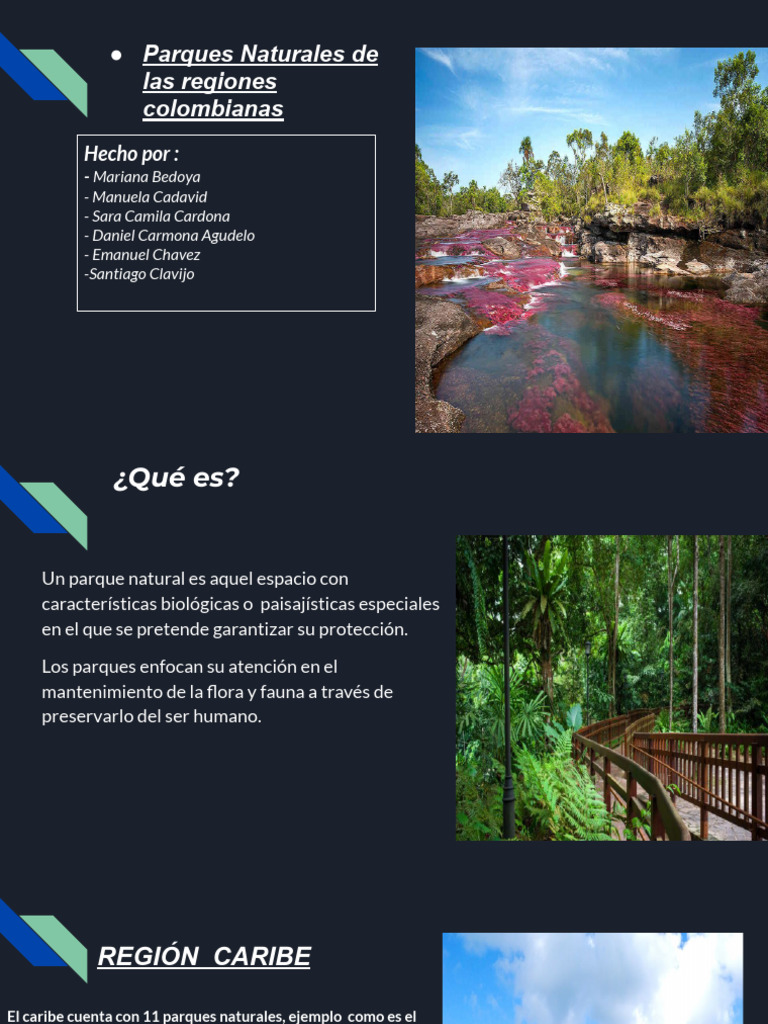 Parques Naturales de Las Regiones Colombianas | PDF | Selva amazónica ...