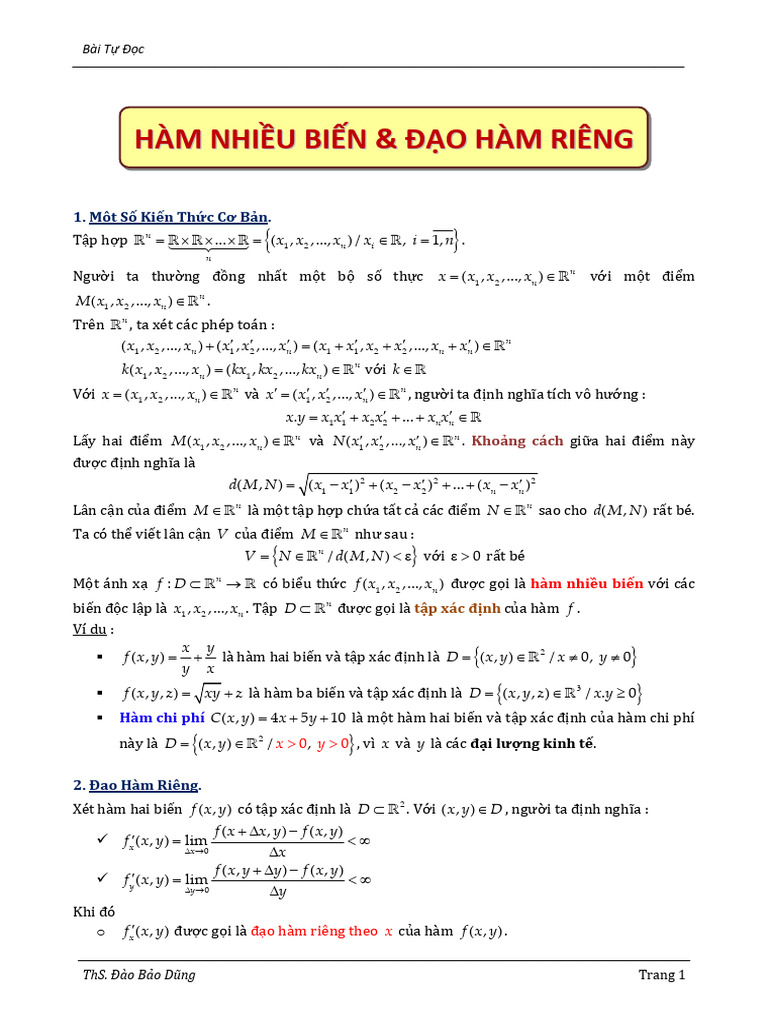 (4.1) Ham Nhieu Bien + Dao Ham Rieng | PDF