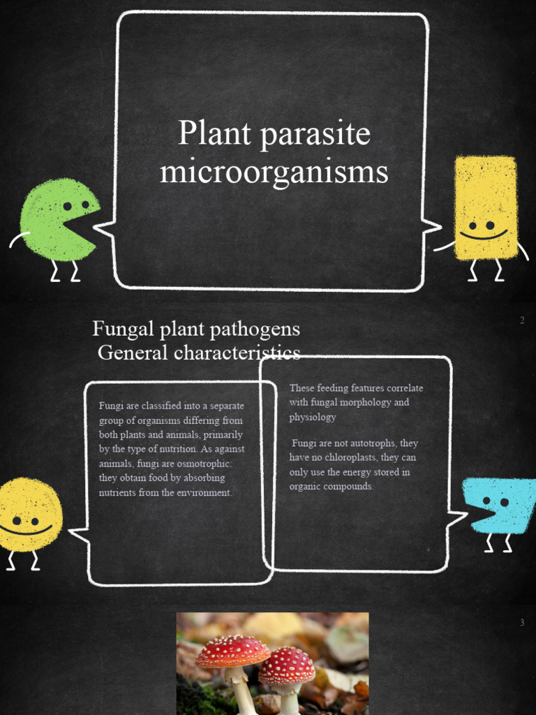 Understanding Plant Pathogens: Fungi & Bacteria | PDF | Fungus | Bacteria