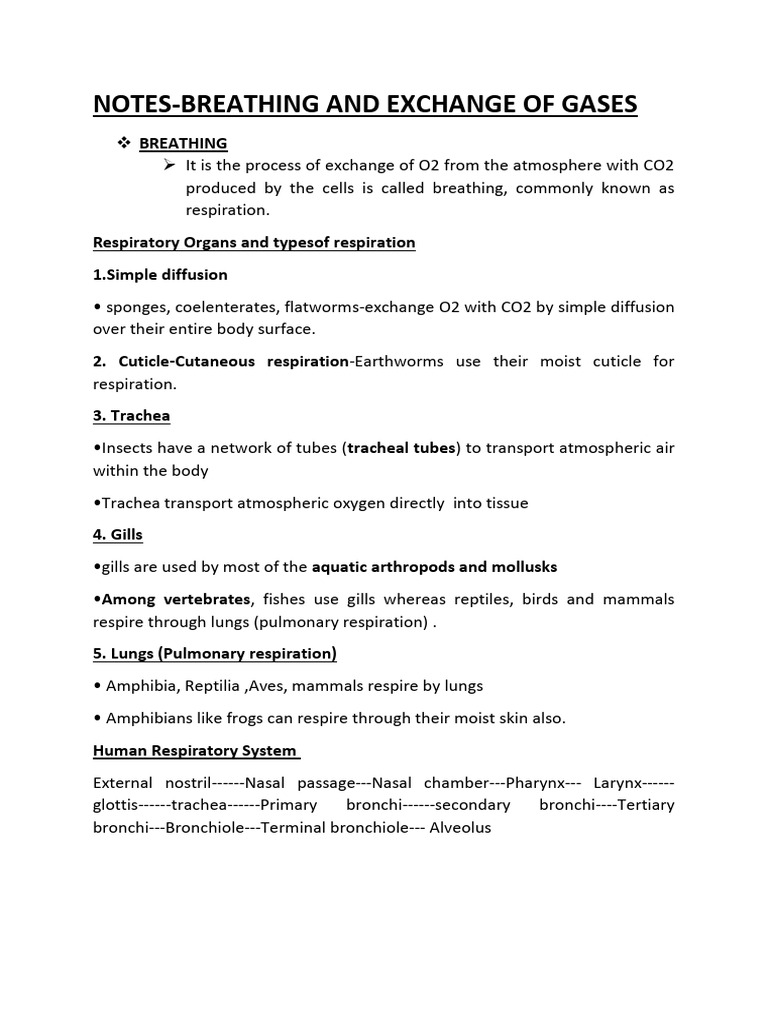 Notes Breathing And Exchange Pdf Respiratory System Exhalation
