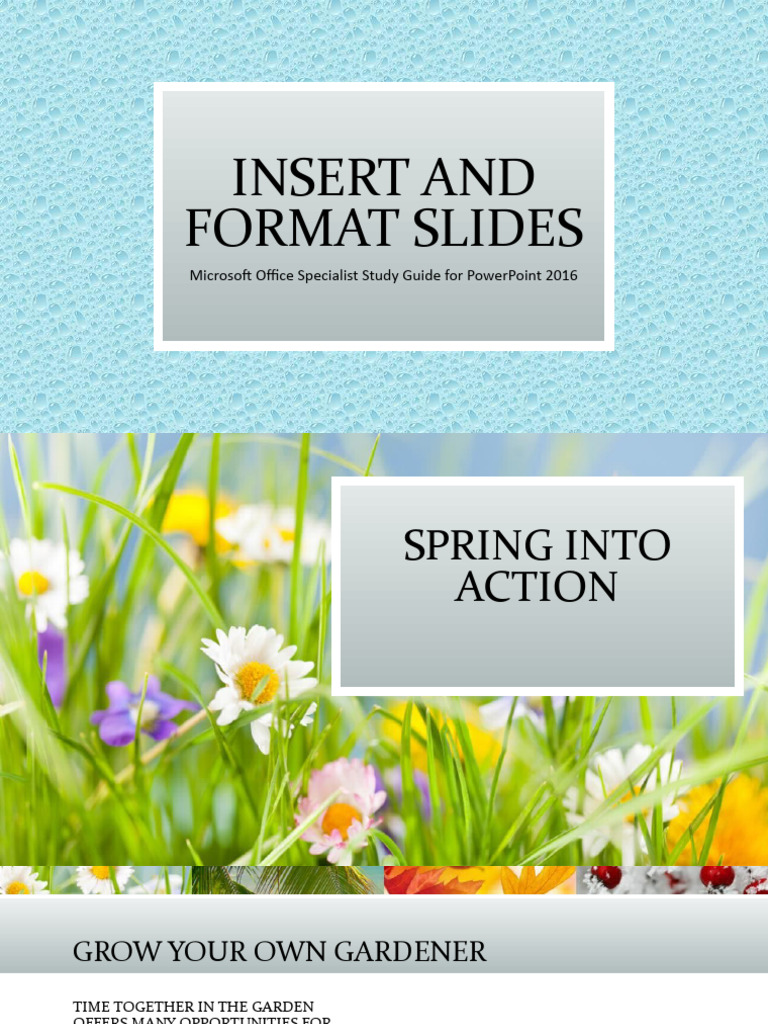 Powerpoint 1 2 Results Pdf